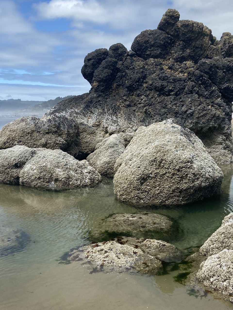 Bring GPS Data to Life with Surfer | Golden Software