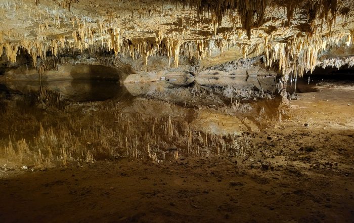 Webinars | Support | Golden Software